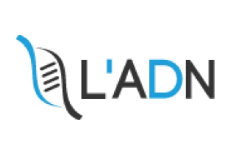 School - June 2020 - |La Sortie|: The important role of education.